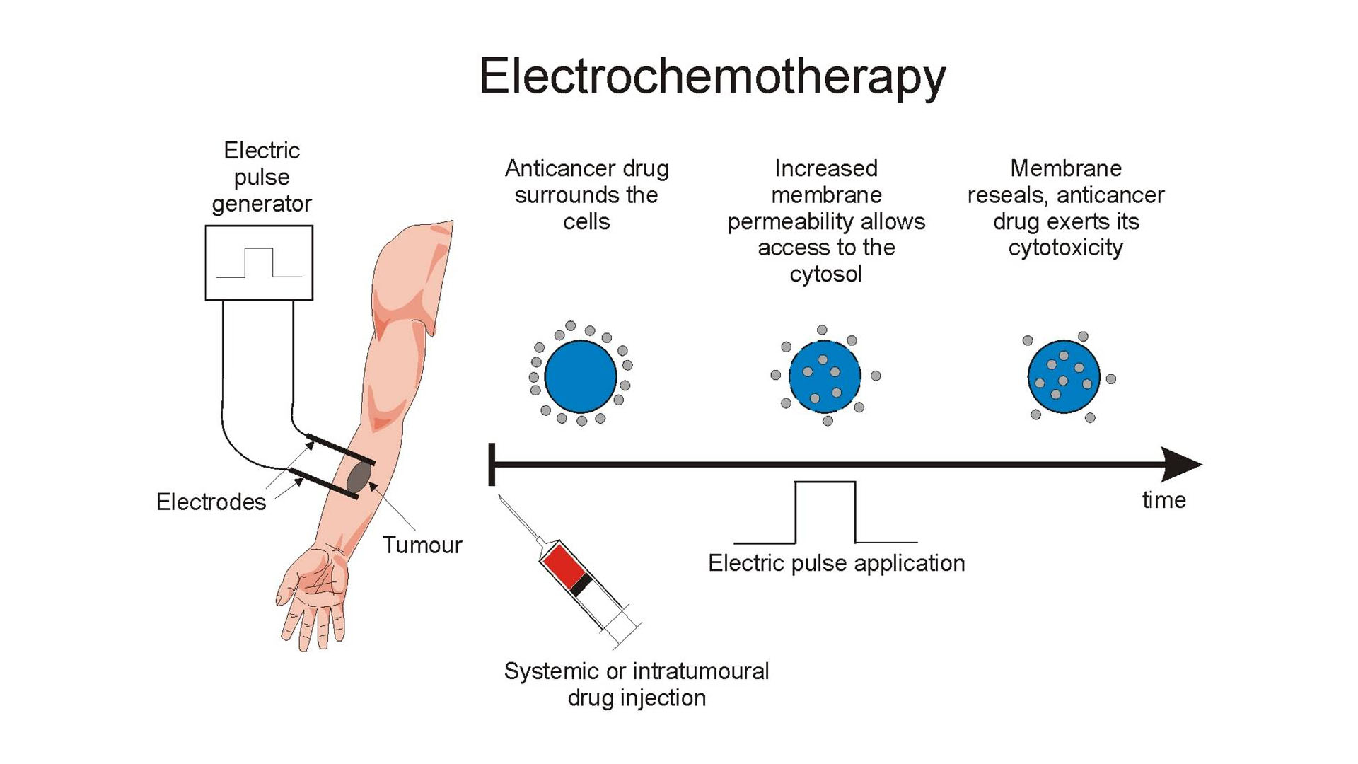 Cancer patients to benefit from new Rosemere Cancer Foundation funded ...